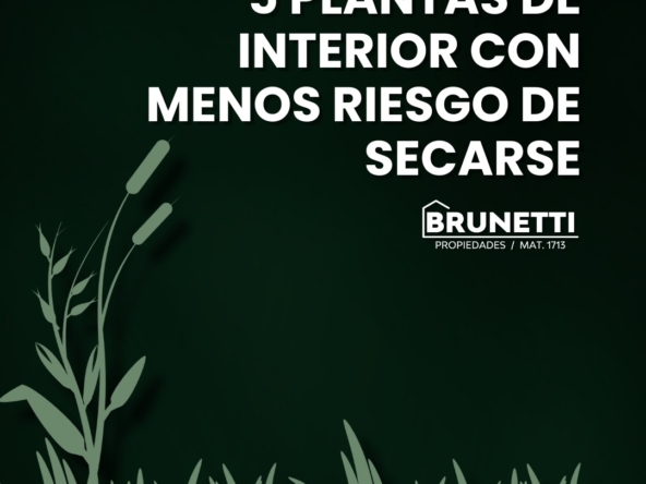 7 islas privadas en venta que pueden ser tuyas – BRUNETTI 7 islas privadas en venta que pueden ser tuyas – BRUNETTI